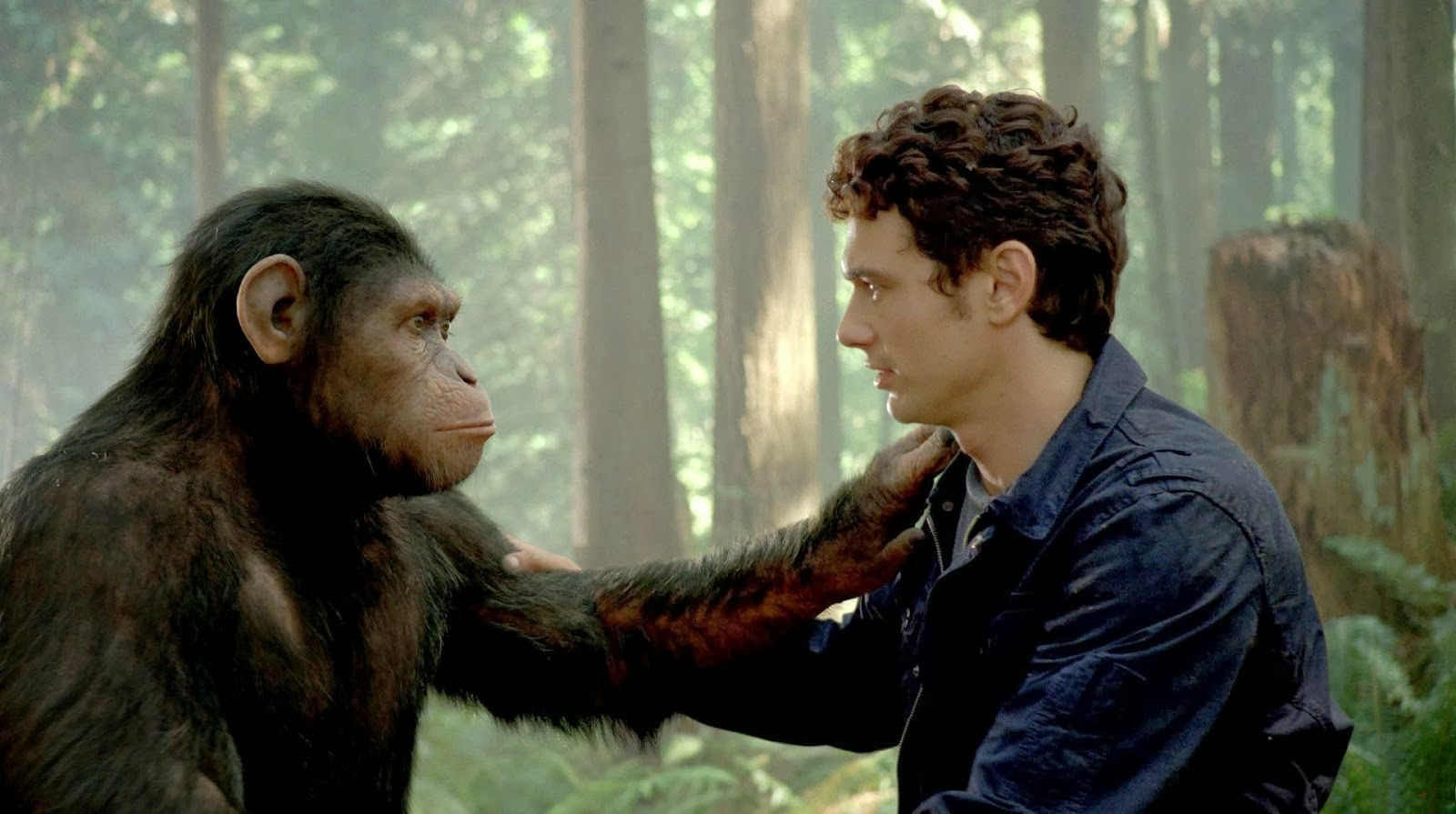 Similitudes con simios – EMEDT