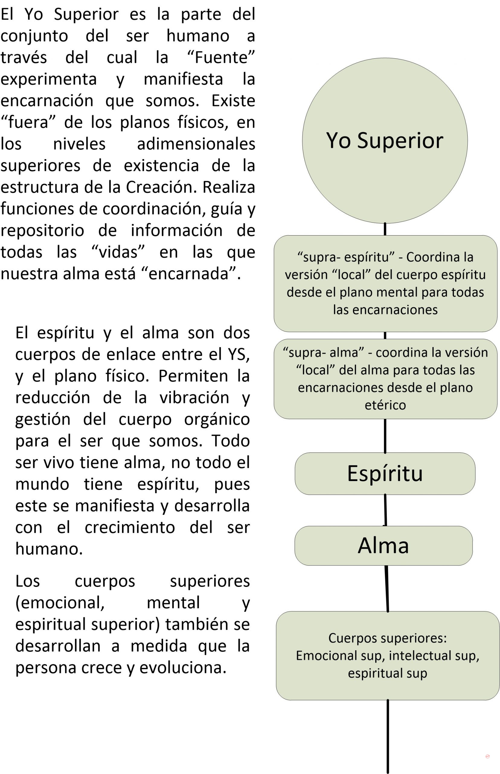 ¿Sería posible que el Yo Superior tomará las riendas al 100% de todos ...