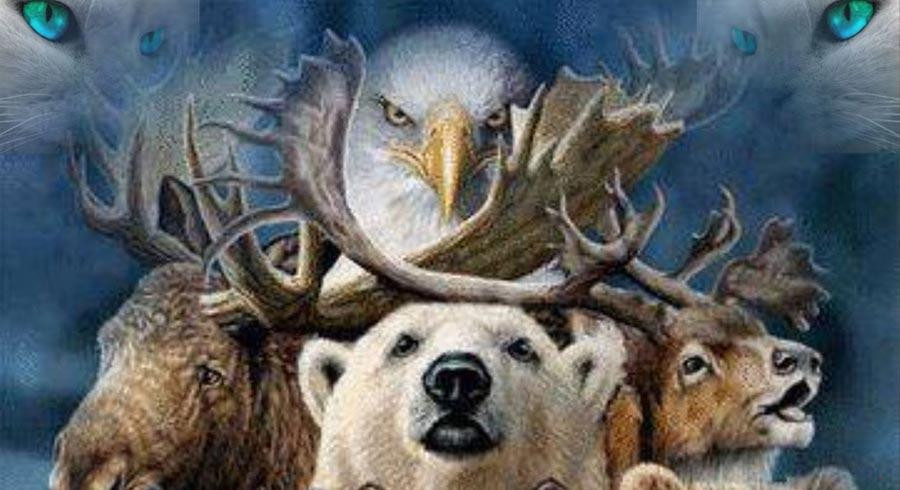 Tótems – Animales de poder – EMEDT