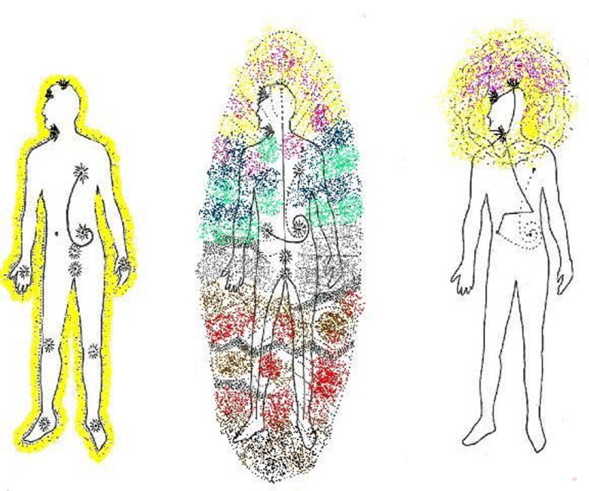 Los átomos simiente y la “centralita” de la información – EMEDT